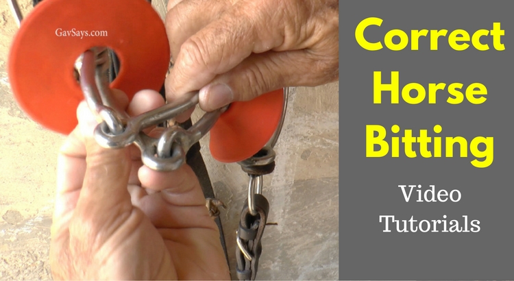 Horse Bitting Example - Barry Gag to a Control Plate Horse Bitting Example - Barry Gag to a Control Plate